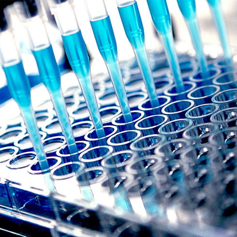 Home - FineTest ELISA Kit | FineTest Antibody | Wuhan Fine Biotech Co ...