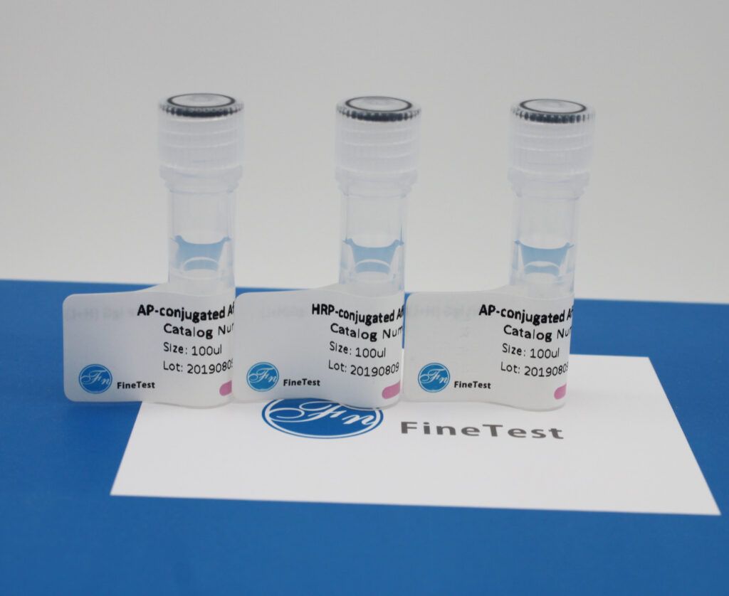 poly-HRP conjugated Mouse anti- human IgM - FineTest ELISA Kit ...