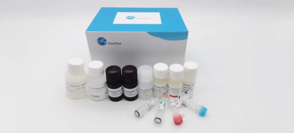Accquant ELISA Kit-More Sensitive, More Accurate - FineTest ELISA Kit ...