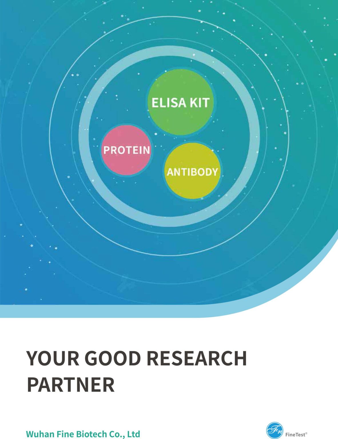 Downloads - FineTest ELISA Kit | FineTest Antibody | FineTest®