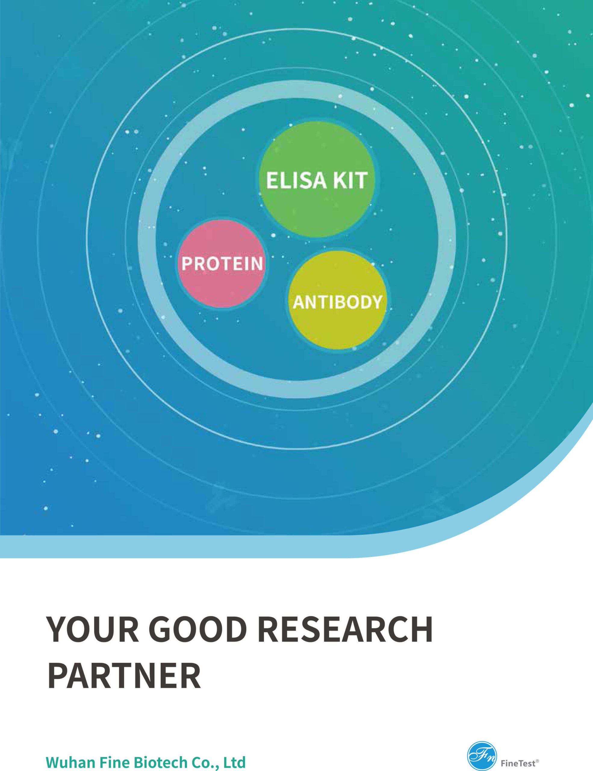 Downloads - FineTest ELISA Kit | FineTest Antibody | FineTest®