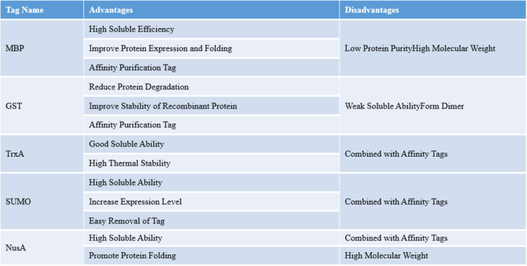 Fusion Tag Protein Types and Advances in Fusion Tags - FineTest Protein