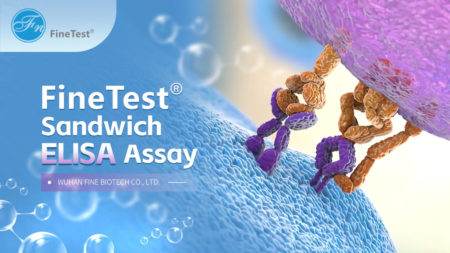 Heme Assay Kit Sigma at Isabella Clubbe blog