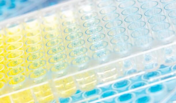 Downloads - FineTest ELISA Kit | FineTest Antibody | FineTest®