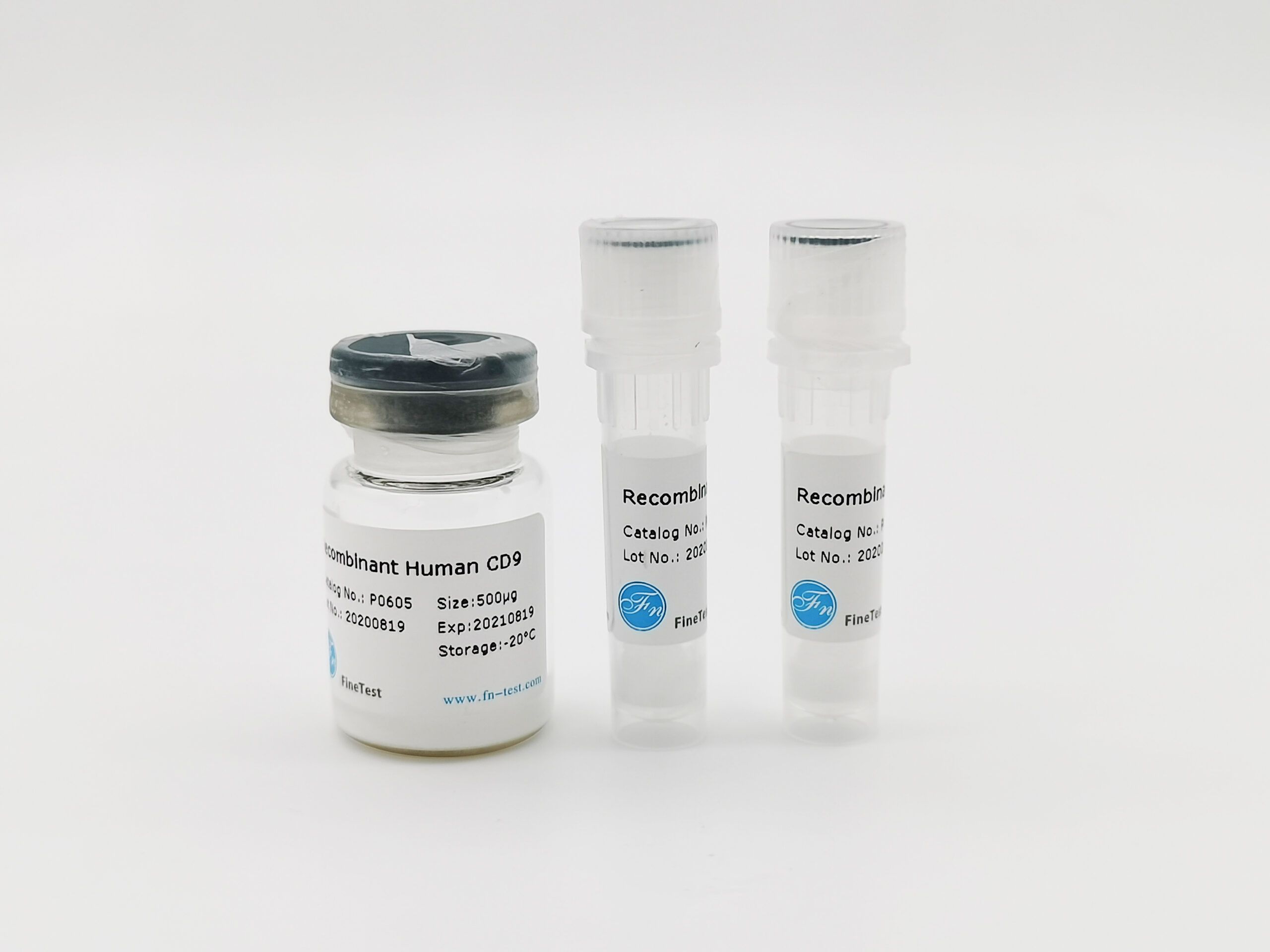Recombinant Human HGFAC - FineTest ELISA Kit | FineTest Antibody ...