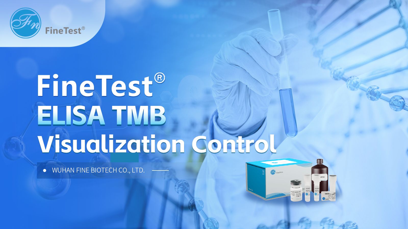 Videos - FineTest ELISA Kit | FineTest Antibody | FineTest®