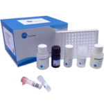 ELISA Kits Manufacturer - FineTest ELISA Kit | High Sensitivity ELISA Kit
