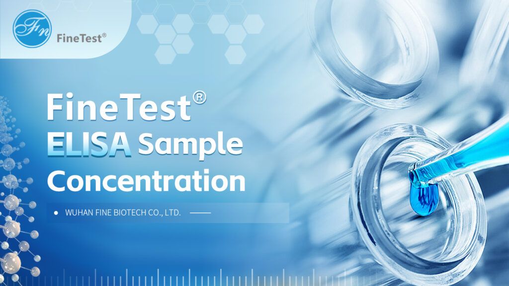 ELISA Kits Manufacturer - FineTest ELISA Kit | High Sensitivity ELISA Kit