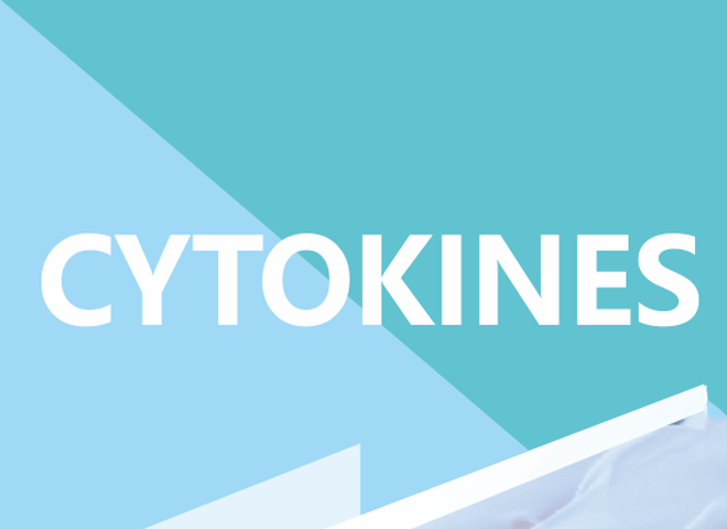 Featured Products Collection - FineTest ELISA Kit | FineTest Antibody ...