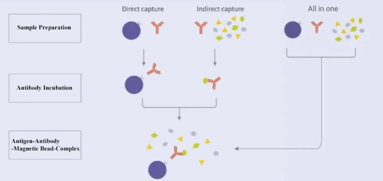 Seven Tips for Immunoprecipitation Assay - FineTest ELISA Kit ...