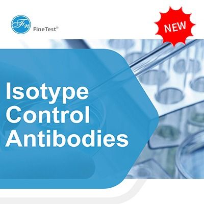 Home - FineTest ELISA Kit | FineTest Antibody | Wuhan Fine Biotech Co ...