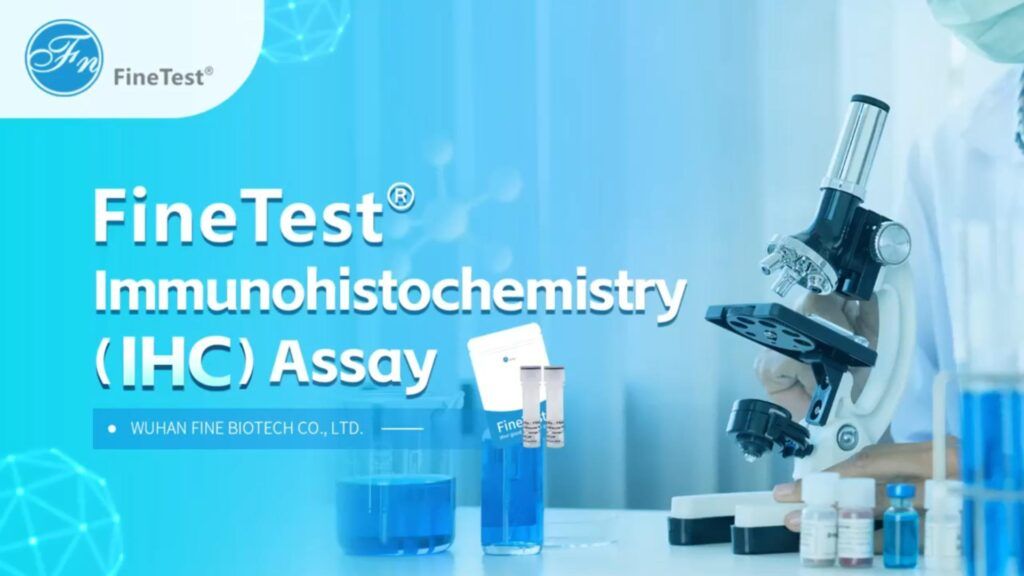 Videos - FineTest ELISA Kit | FineTest Antibody | FineTest®