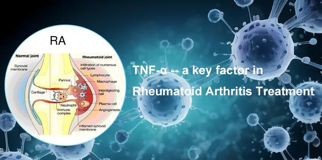 Role of TNF Alpha in Rheumatoid Arthritis - FineTest ELISA Kit ...