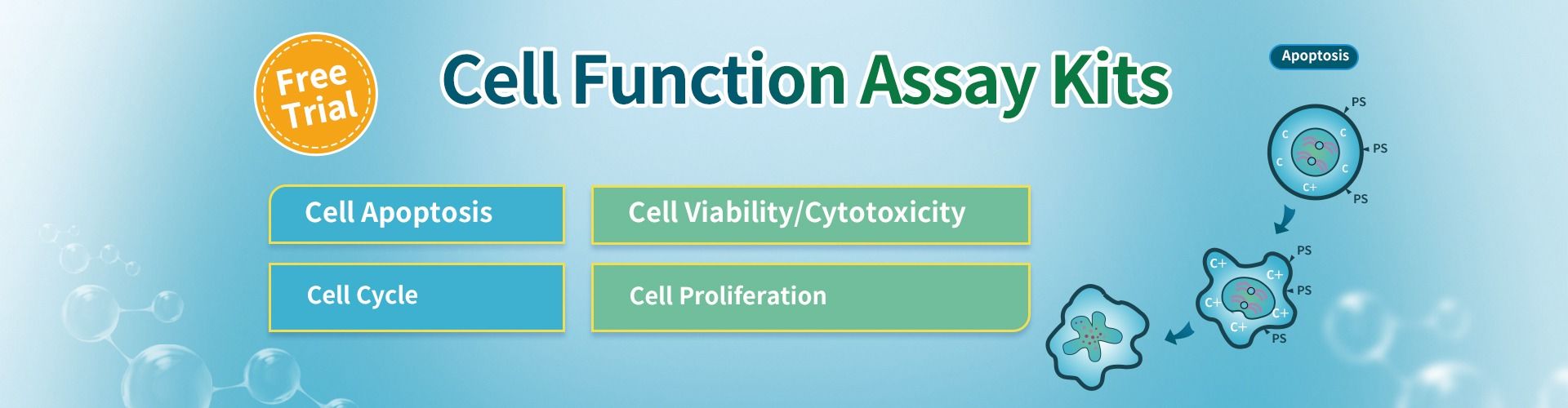 Home - FineTest ELISA Kit | FineTest Antibody | FineTest®