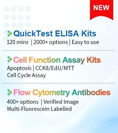 Aspartate Aminotransferase (AST/GOT) Activity Assay Kit - FineTest ...