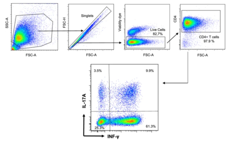 Th17 Markers Flow Cytometry - FineTest ELISA Kit | FineTest Antibody ...