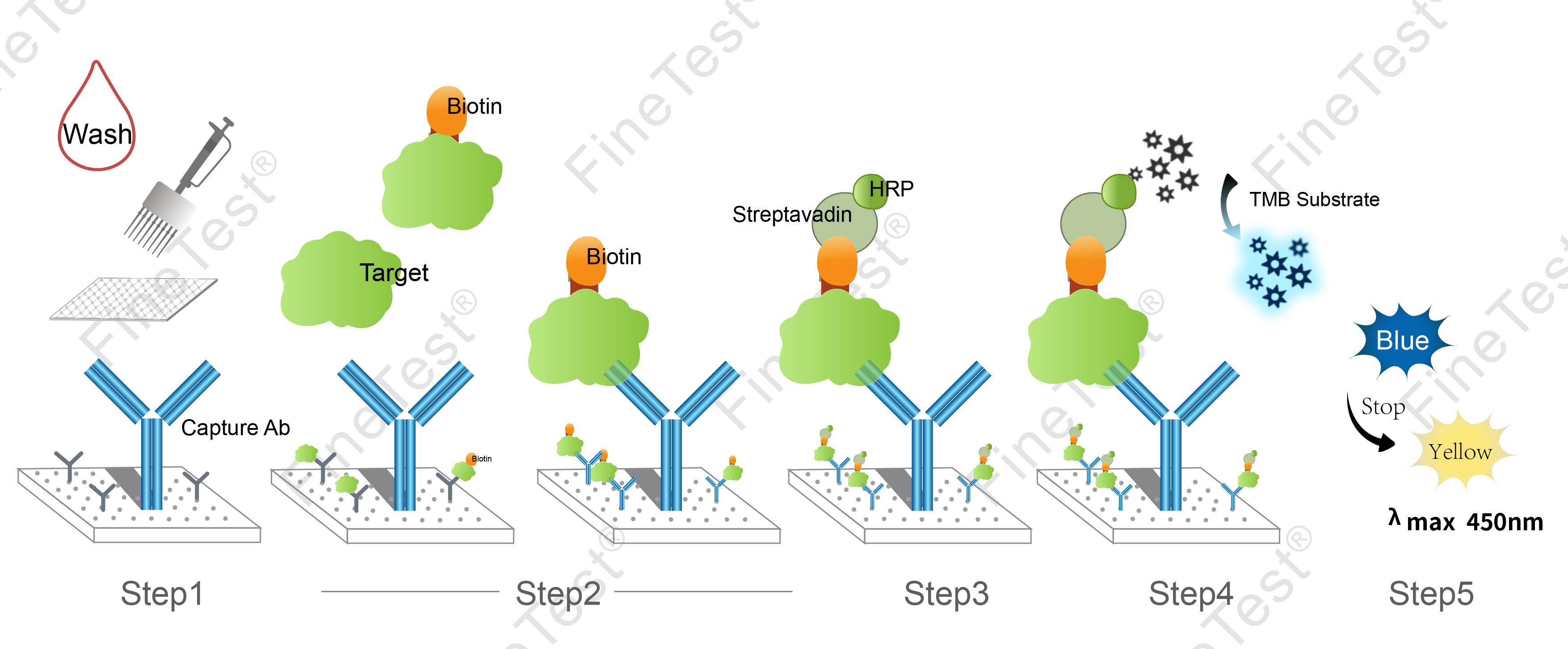 LPS(Lipopolysaccharides) ELISA Kit - FineTest ELISA Kit | FineTest ...