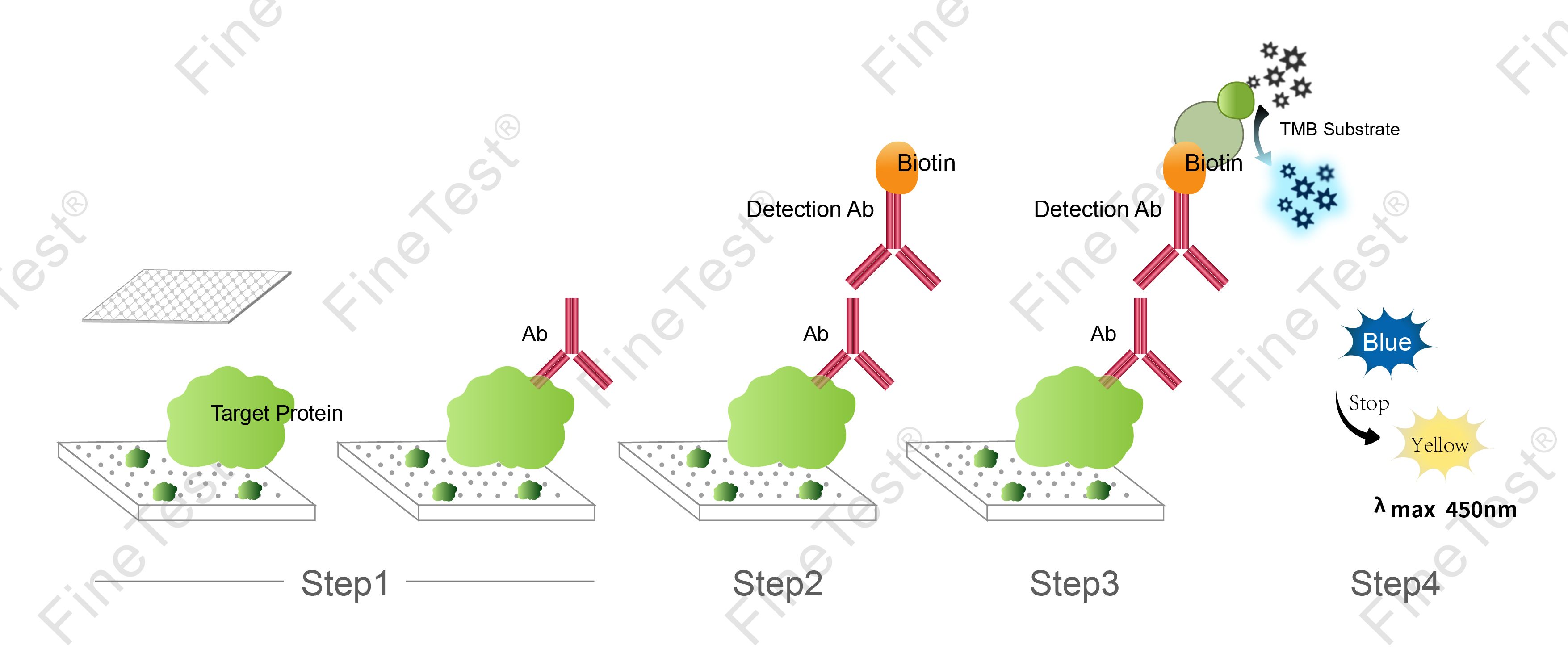 Human Anti-IFNAR2 (Interferon alpha/beta receptor 2) antibody ELISA Kit ...