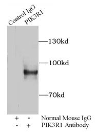 anti- PI3K p85(alpha) antibody - FineTest ELISA Kit | FineTest Antibody ...